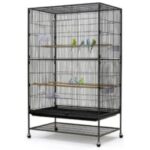 todd marcus birds exotic